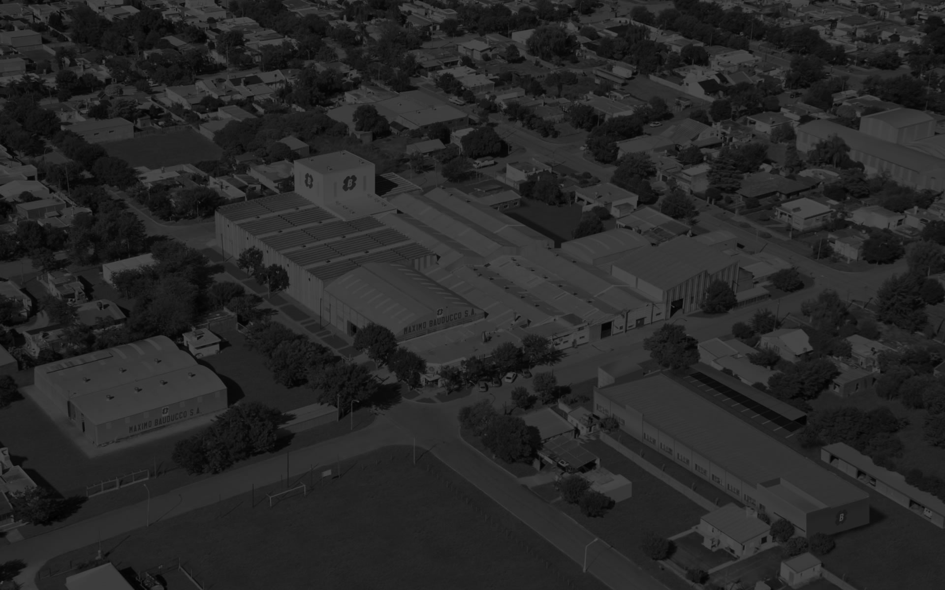 Bauducco S.A. | Máximo Compromiso